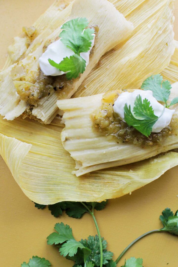 Instant Pot Chicken Tamales: Step By Step for Beginners - Homebody Eats