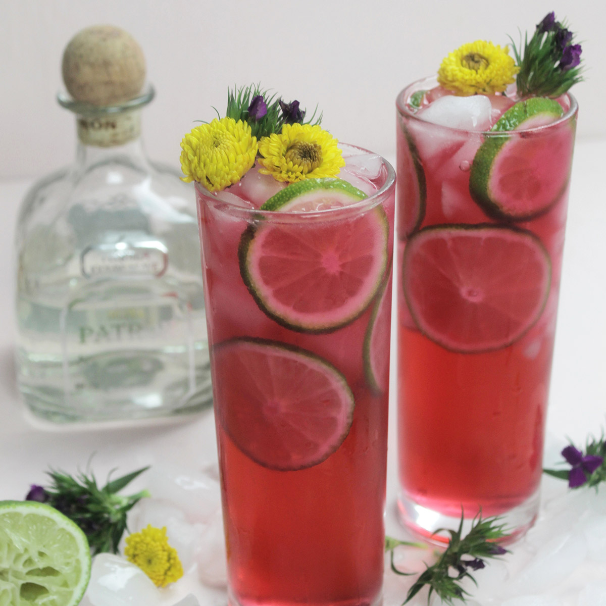 What To Mix With Patr n Tequila 35 Cocktail Recipes Mixer Ideas