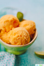 10 Delicious Sorbet Recipes for An Ice Cream Maker - Homebody Eats