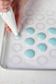 Printable Macaron Template Guide (Free PDF) - Homebody Eats