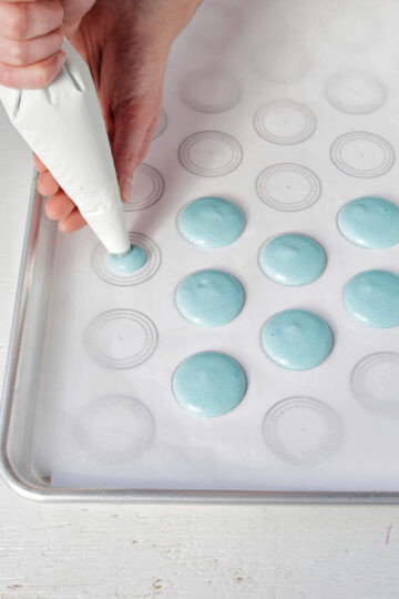 Printable Macaron Template Guide (Free PDF) - Homebody Eats