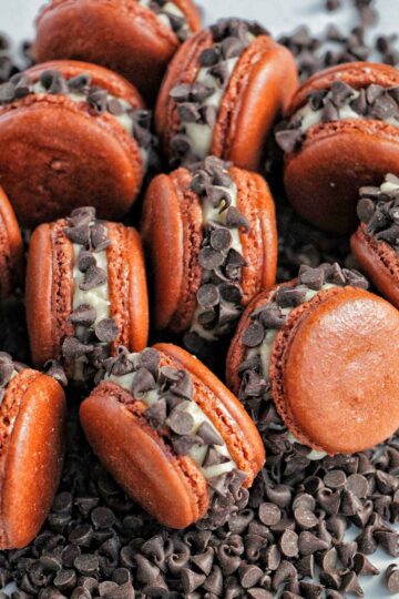 How Do You Store Macarons? (Complete Guide) - Homebody Eats