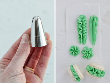 10 Best Macaron Piping Tips - Homebody Eats