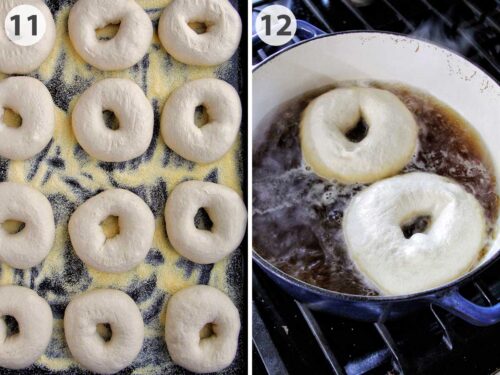 Plain Bagel Recipe (5 Ingredients) - Homebody Eats