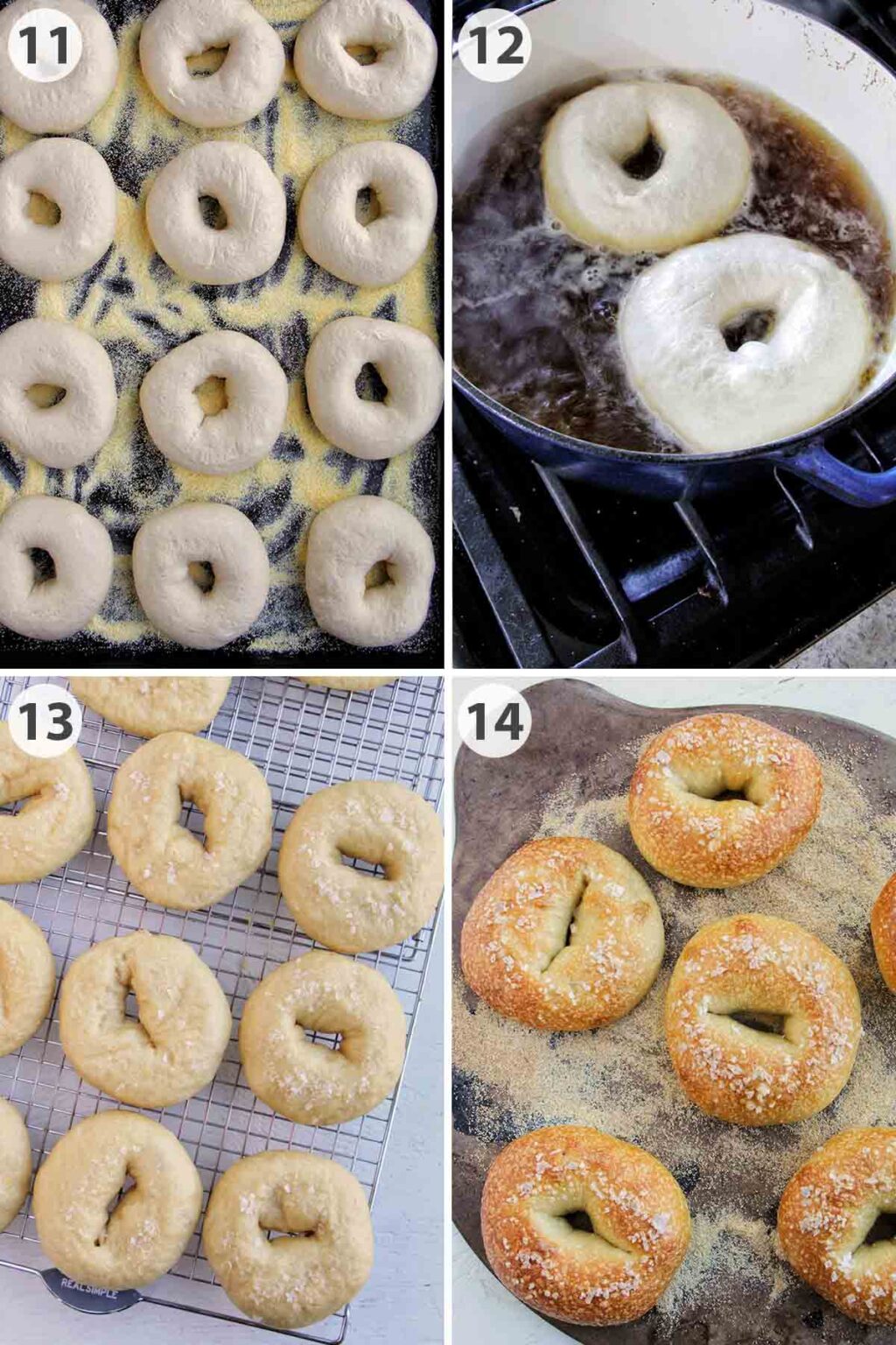 Salt Bagels (6 Ingredients) - Homebody Eats