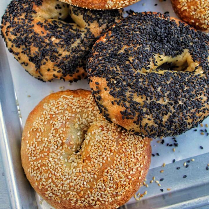 Sesame Seed Bagels (6 Ingredients) - Homebody Eats