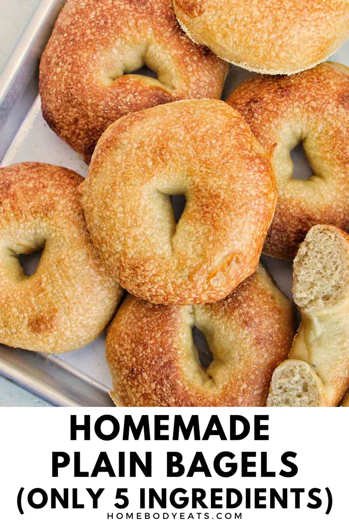 Plain Bagel Recipe (5 Ingredients) - Homebody Eats