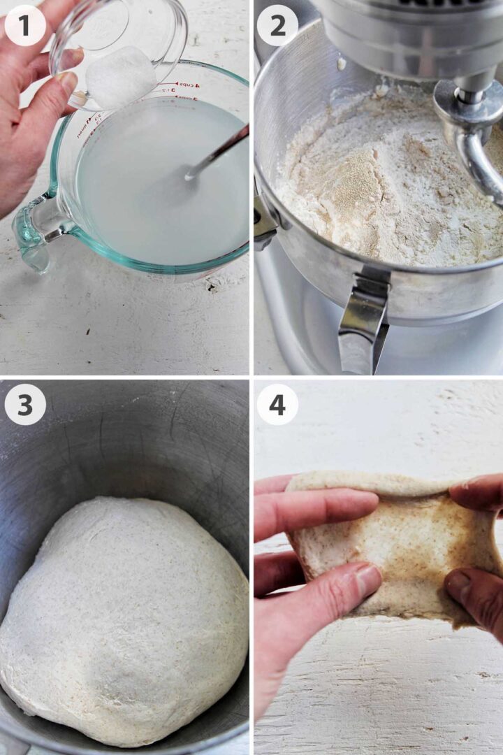 Whole Wheat Neapolitan Pizza Dough - Homebody Eats