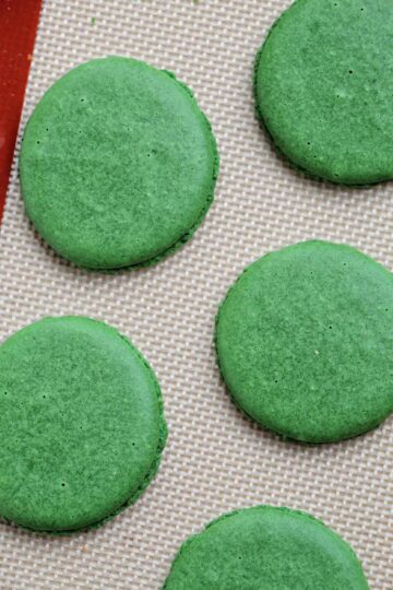 Macaron Troubleshooting (Complete Guide) - Homebody Eats