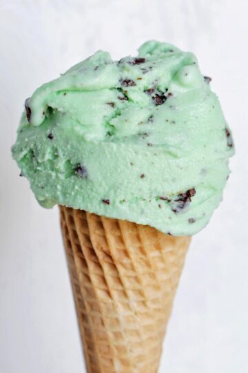 Mint Chocolate Chip Italian Gelato - Homebody Eats