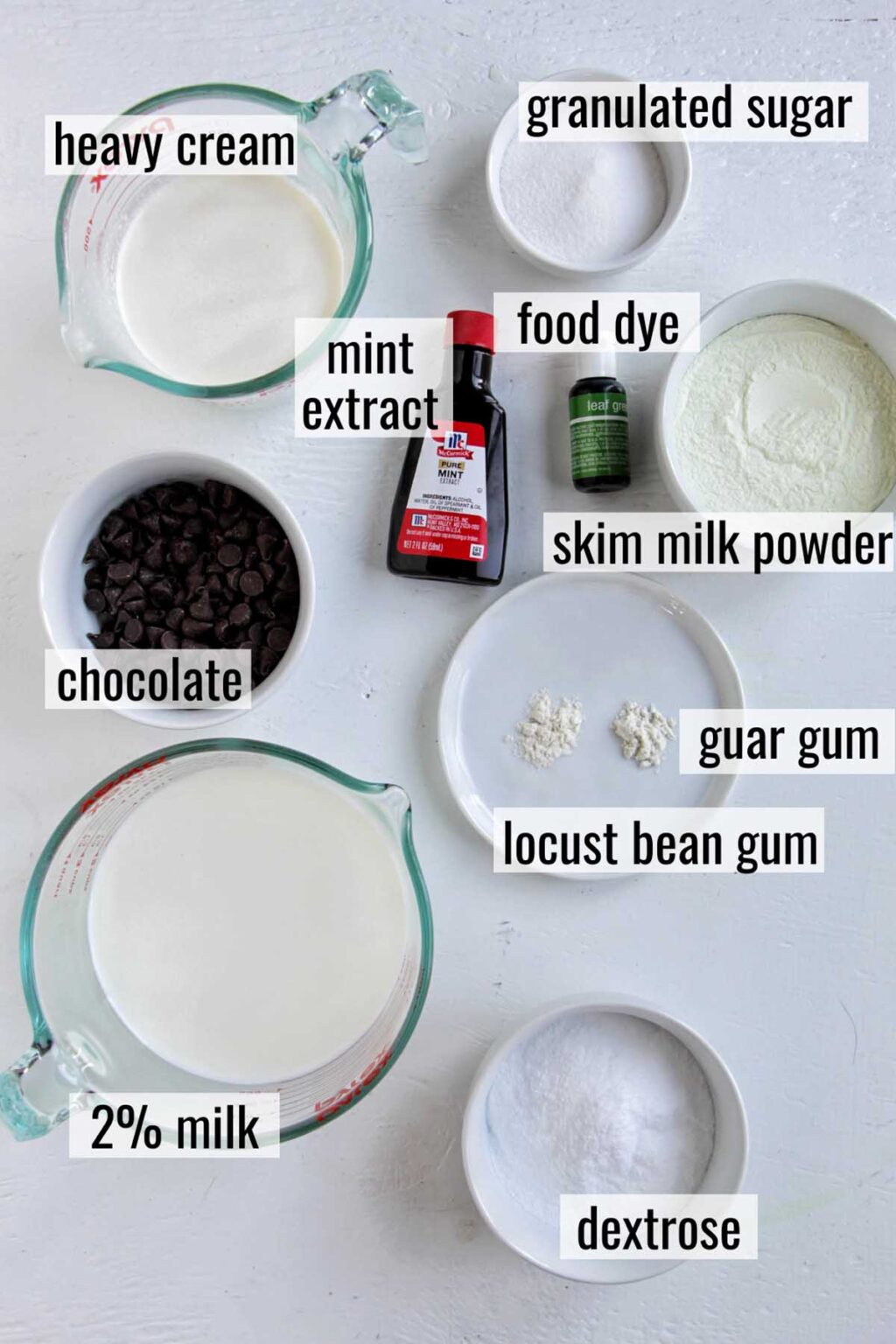 Mint Chocolate Chip Italian Gelato - Homebody Eats