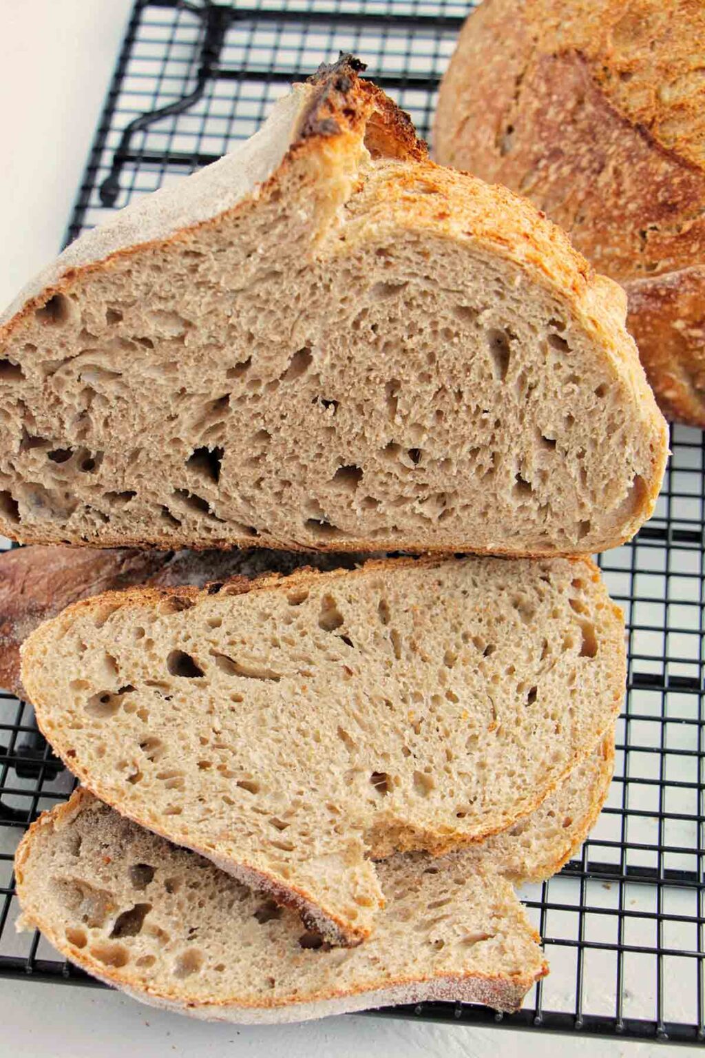 Whole Wheat Sourdough Batard (2 Loaves) - Homebody Eats