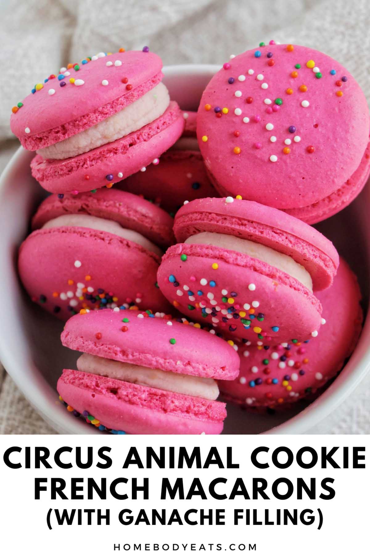 Circus Animal Cookie Macarons - Homebody Eats