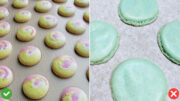 What Should My Macarons Look Like - Homebody Eats