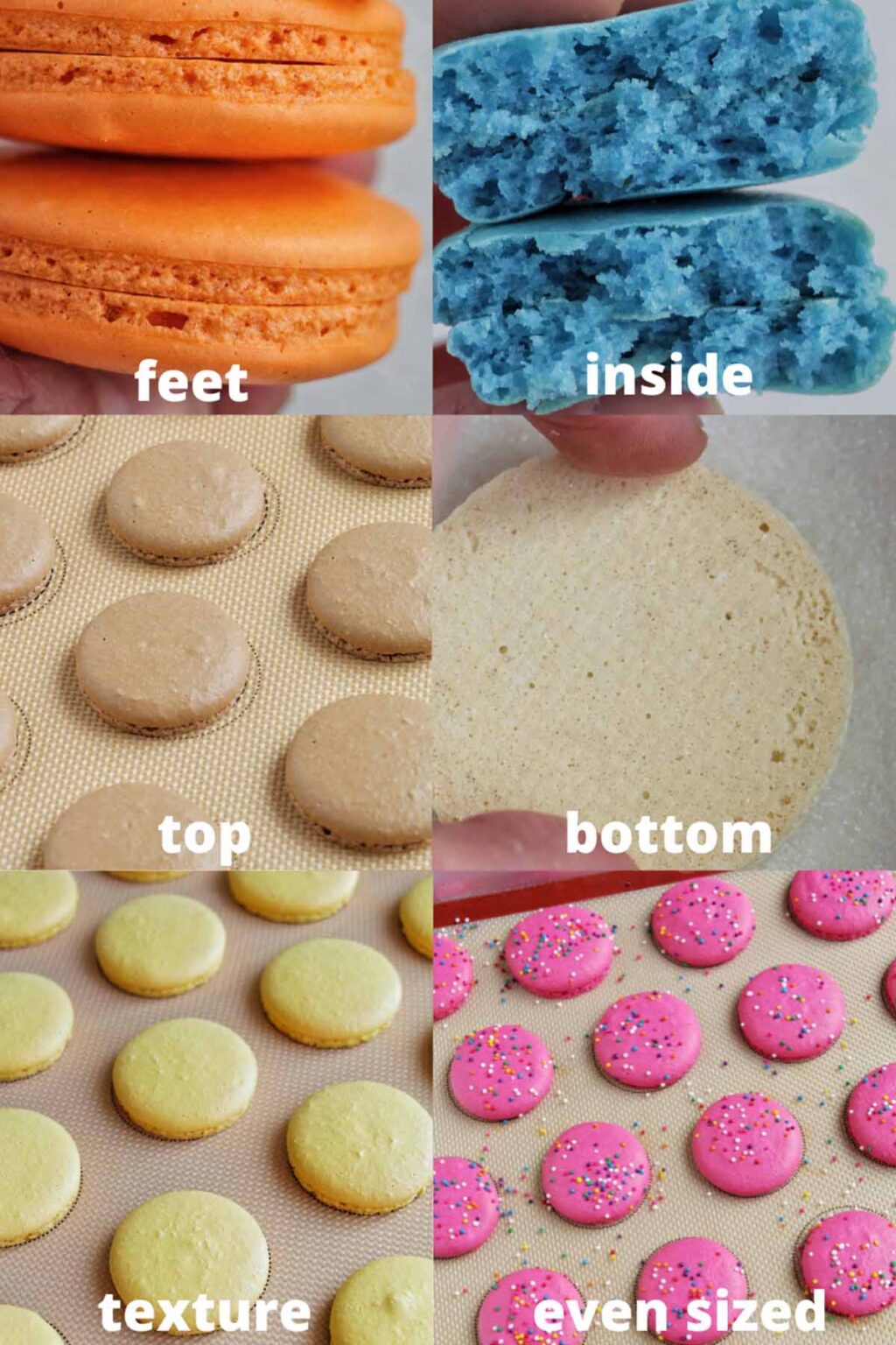 What Should My Macarons Look Like - Homebody Eats