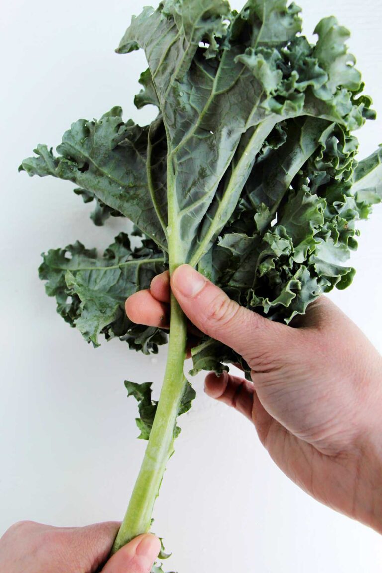 Fall Kale Salad with Tahini Dressing - Homebody Eats